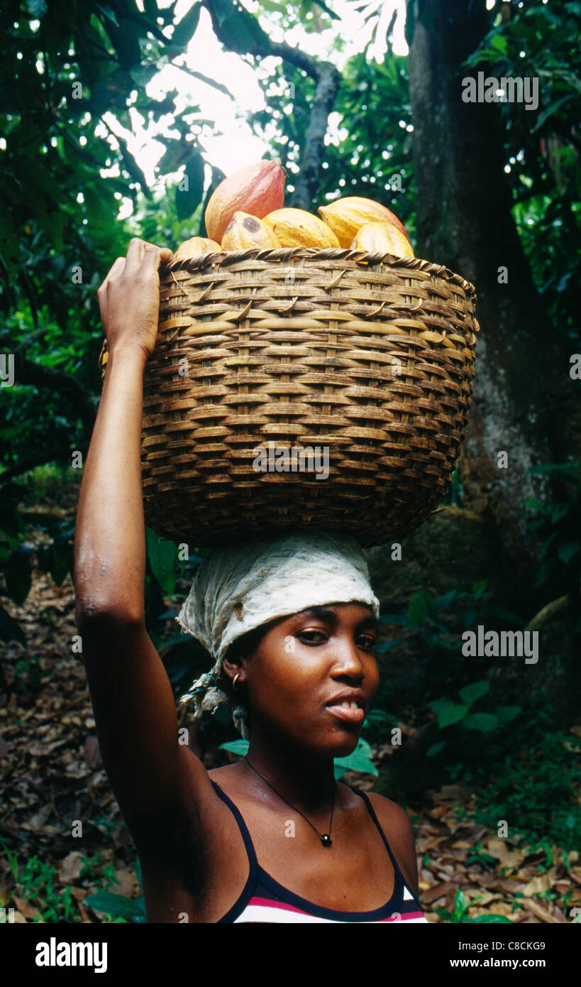 Women carrying cocoa beans in a basket on her head Stock Photo - Alamy