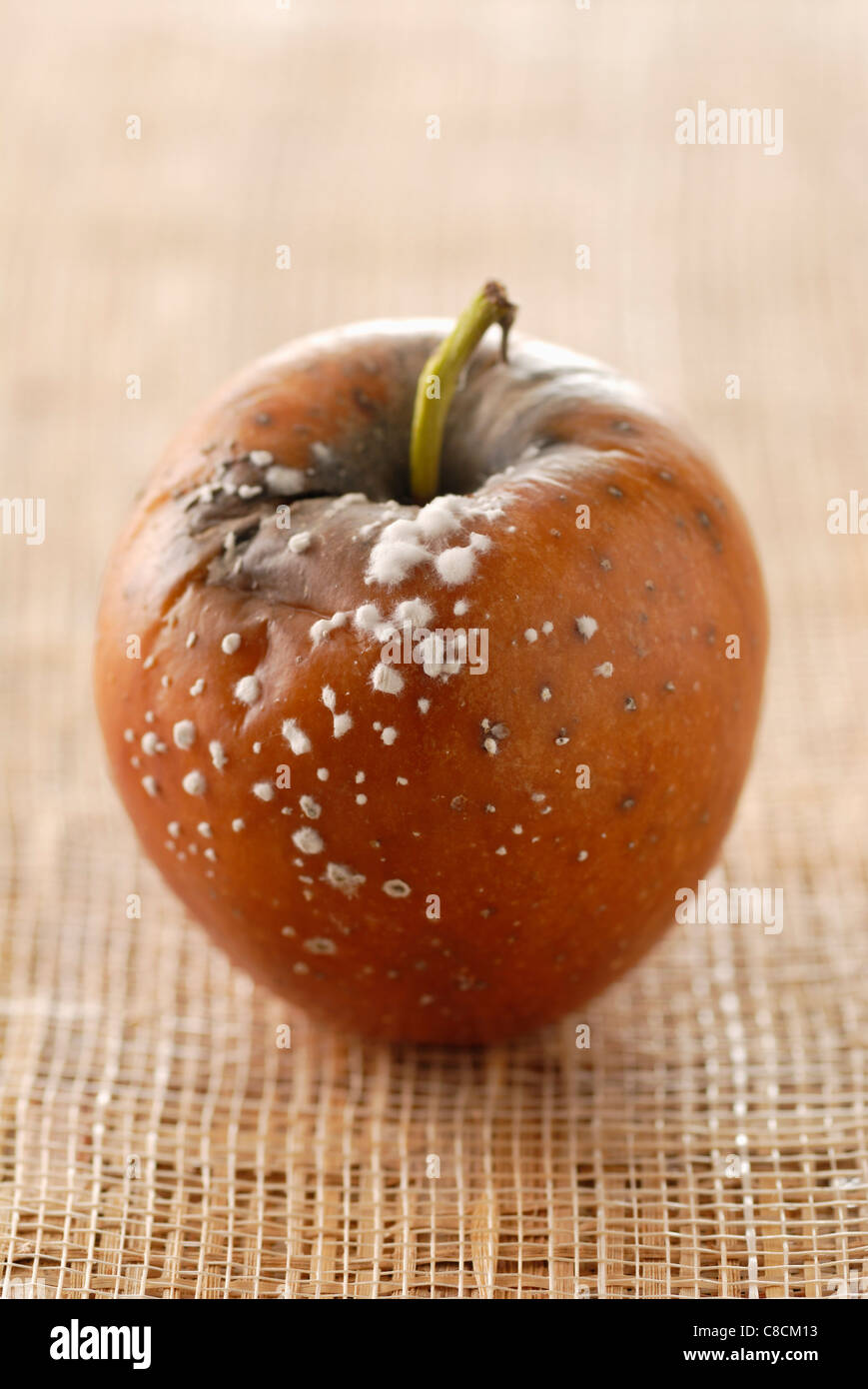 Mouldy Apple Stock Photos & Mouldy Apple Stock Images - Alamy