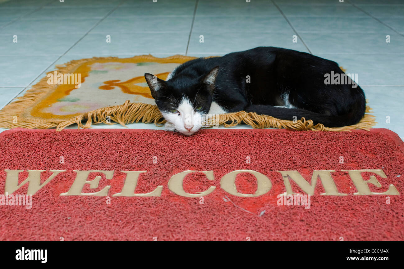 Welcome mat hi-res stock photography and images - Alamy