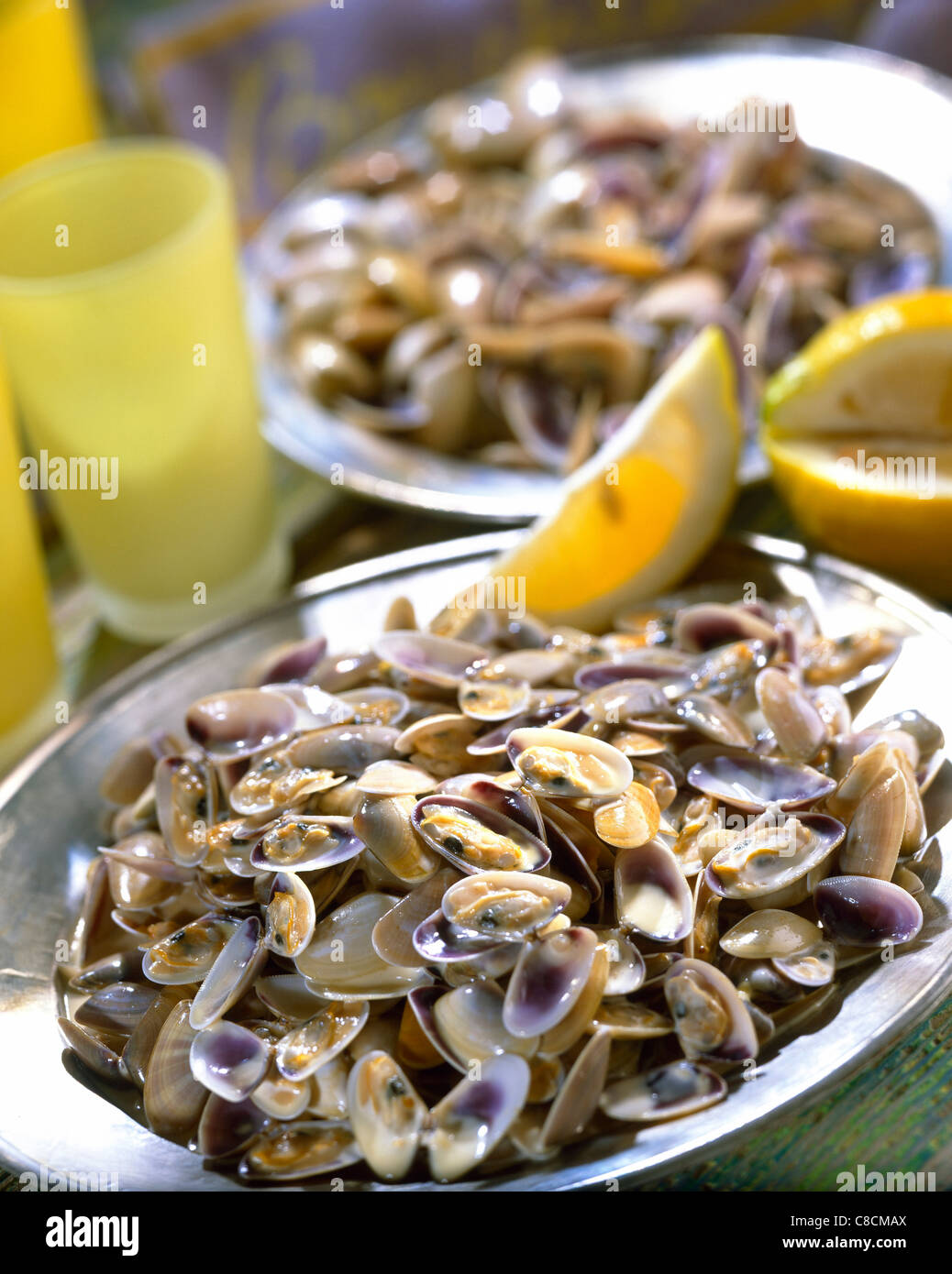 Tellin shell hi-res stock photography and images - Alamy