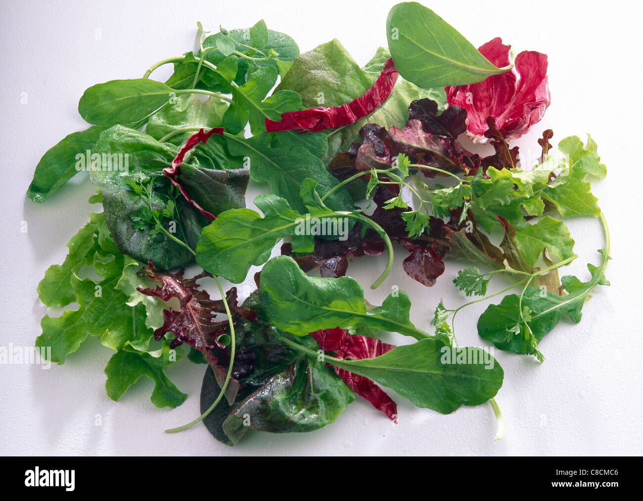 Mixed lettuce leaves Stock Photo - Alamy
