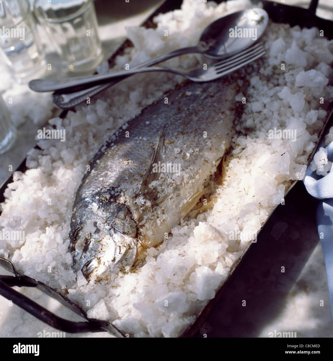 Sun Bream High Resolution Stock Photography and Images - Alamy