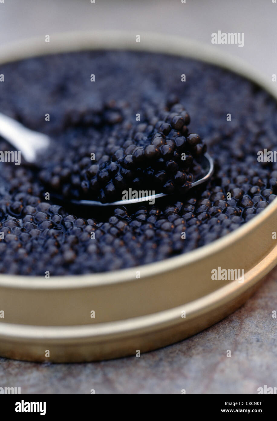 Tin of caviar Stock Photo - Alamy