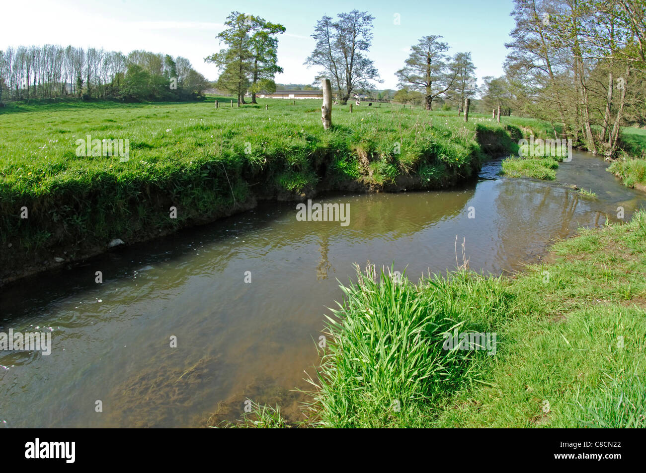 Alliere hi-res stock photography and images - Alamy