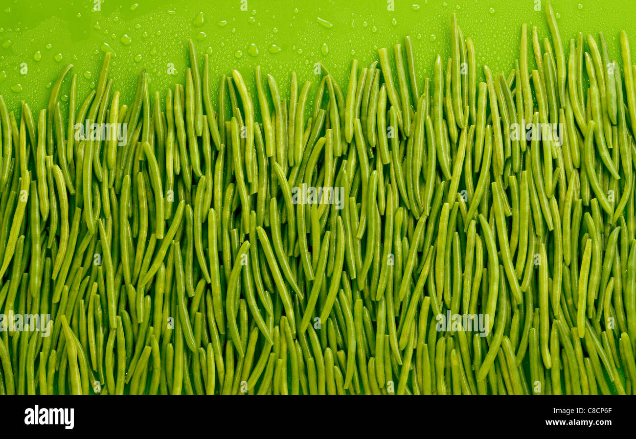 green string beans Stock Photo - Alamy