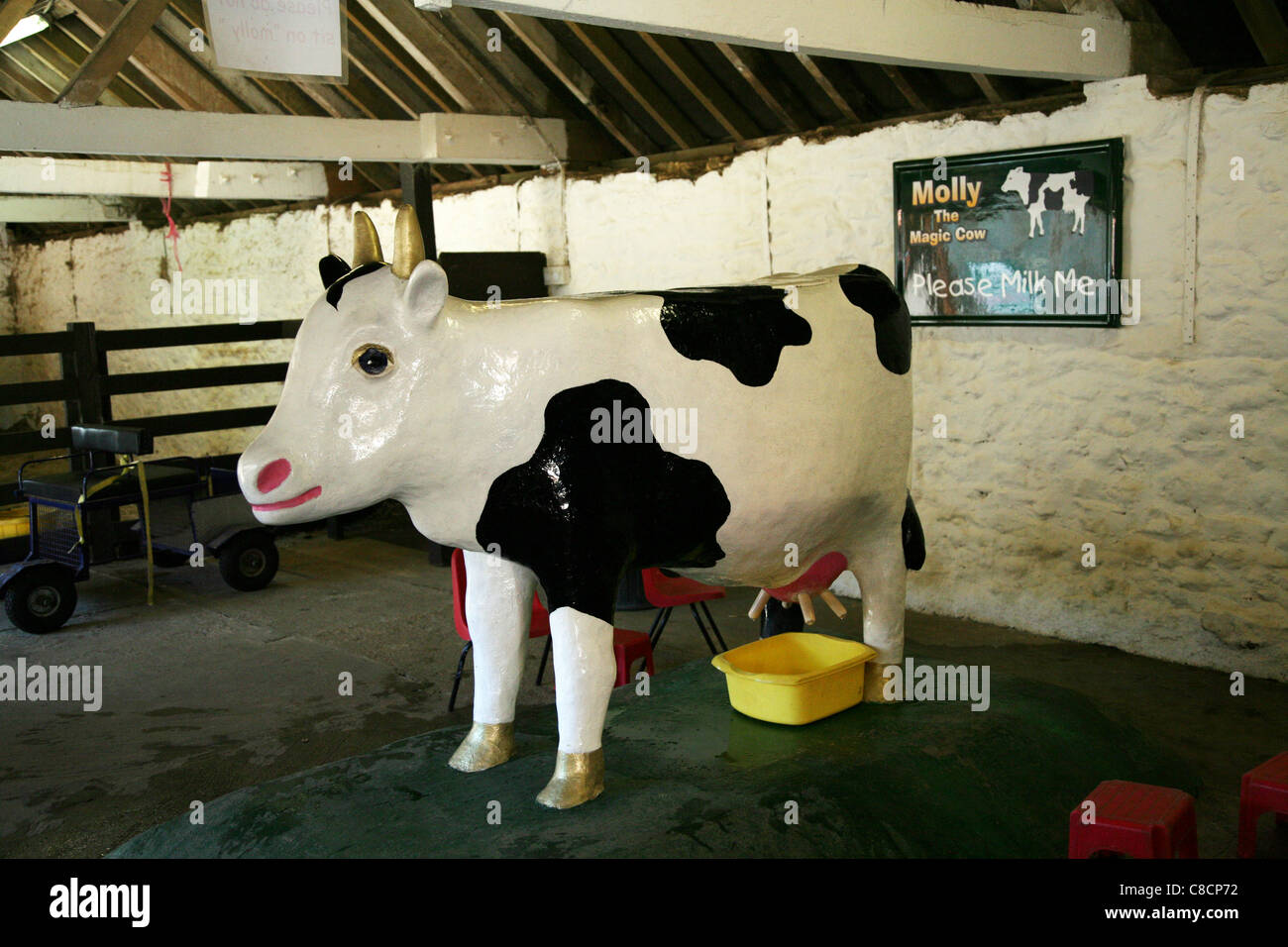 Molly the Magic Cow at the Abbotsbury Childrens Farm Stock Photo - Alamy