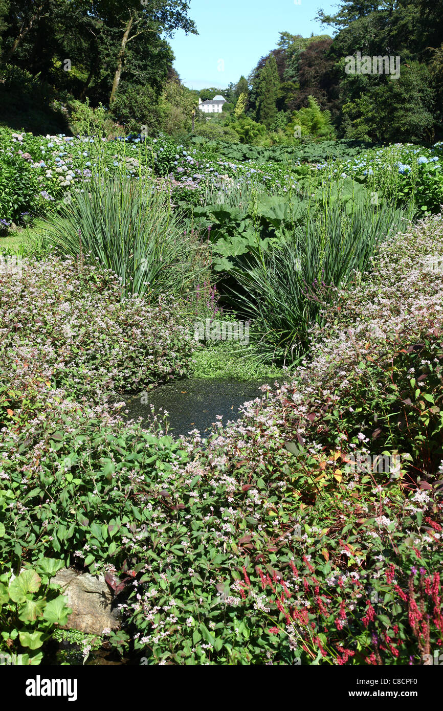 A view up the valley towards the house at Trebah Gardens, Mawnan Smith ...