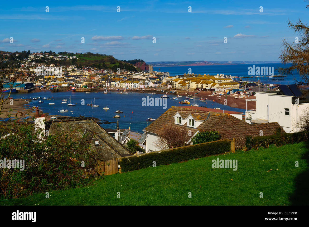Shaldon in devon hi-res stock photography and images - Alamy