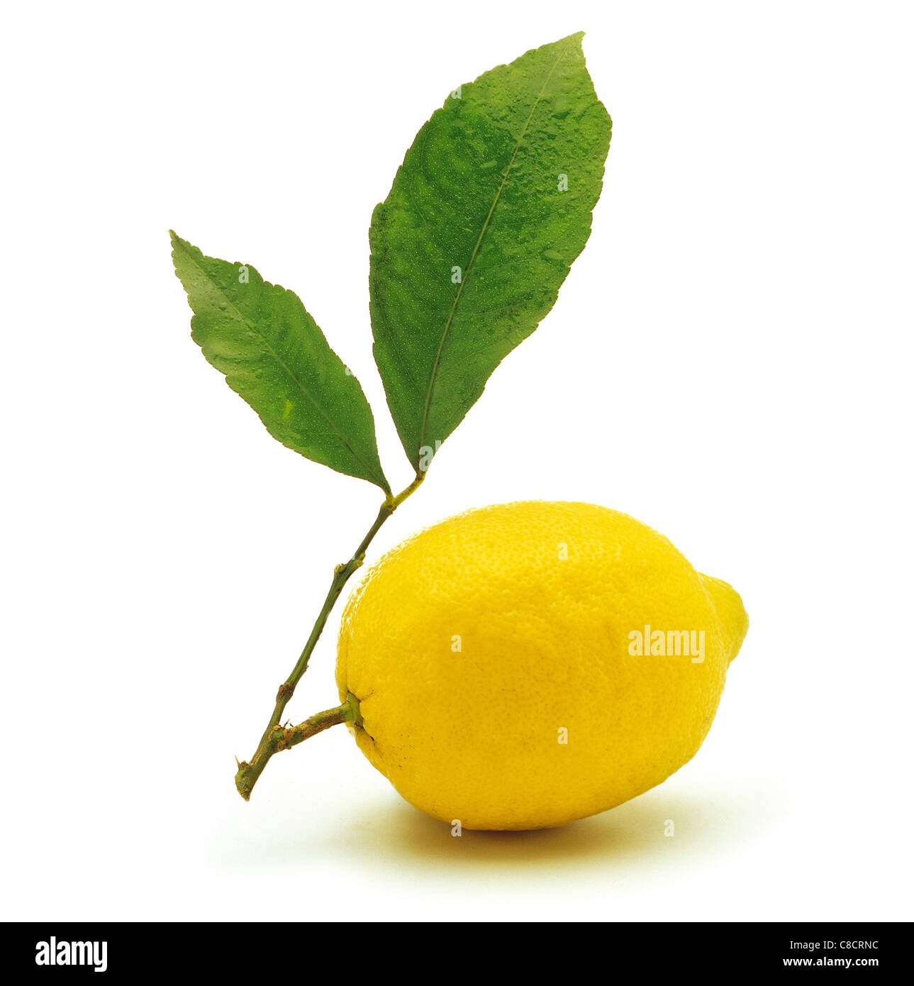Lemon with leaf Stock Photo - Alamy