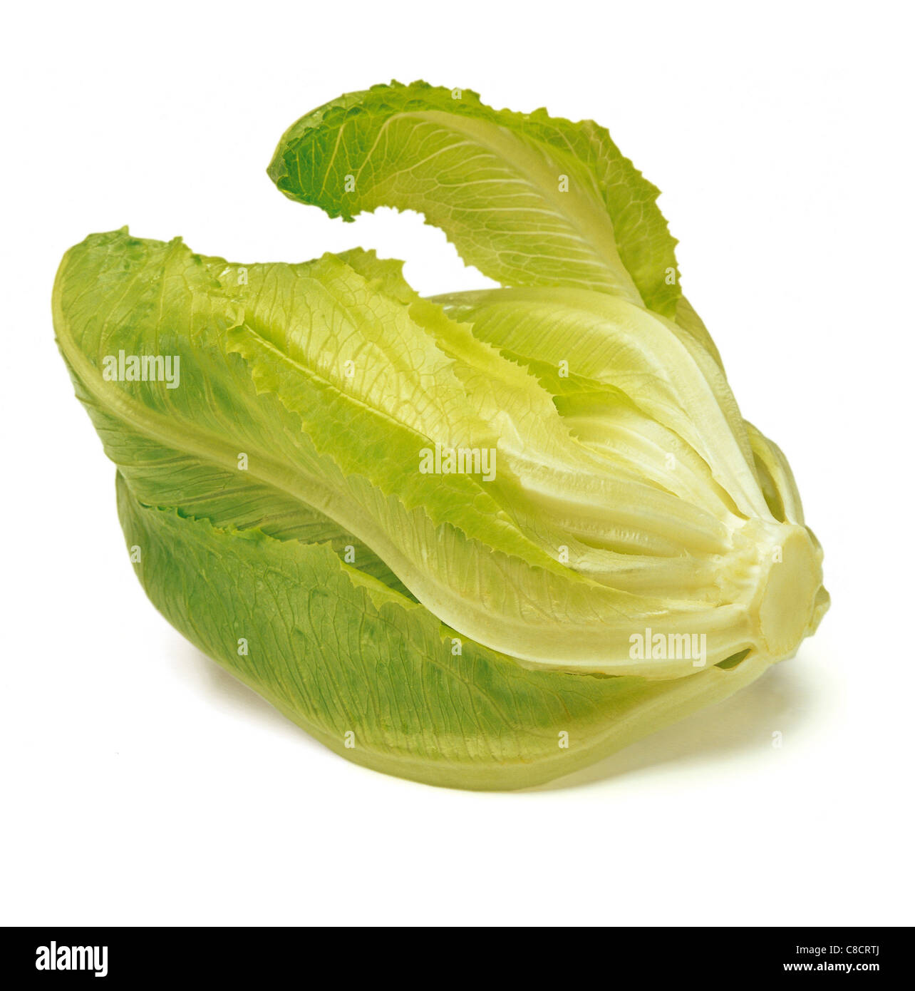 Cos lettuce cut out hi-res stock photography and images - Alamy