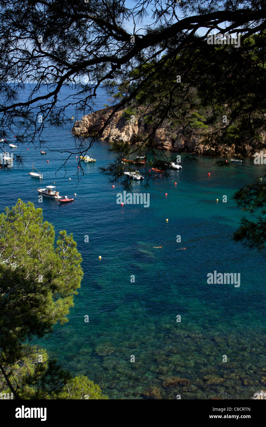 Aigua Blava, Costa Brava, Spain Stock Photo - Alamy