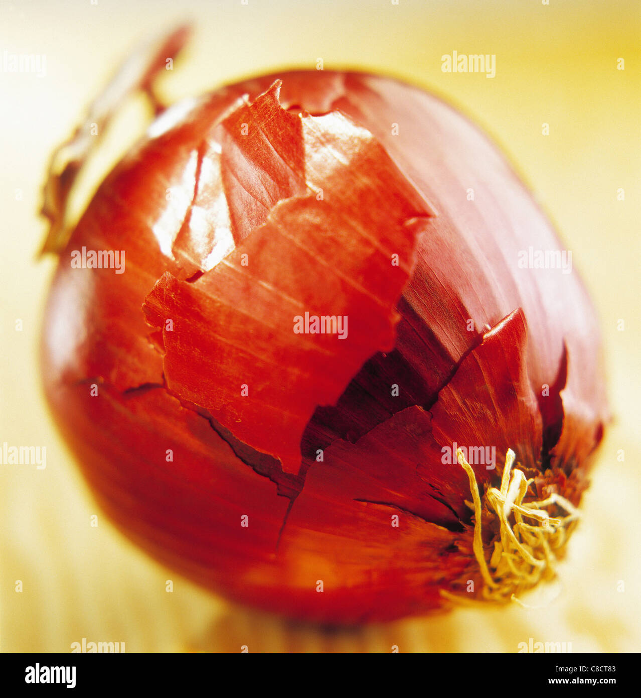 Rose de roscoff onion hi-res stock photography and images - Alamy