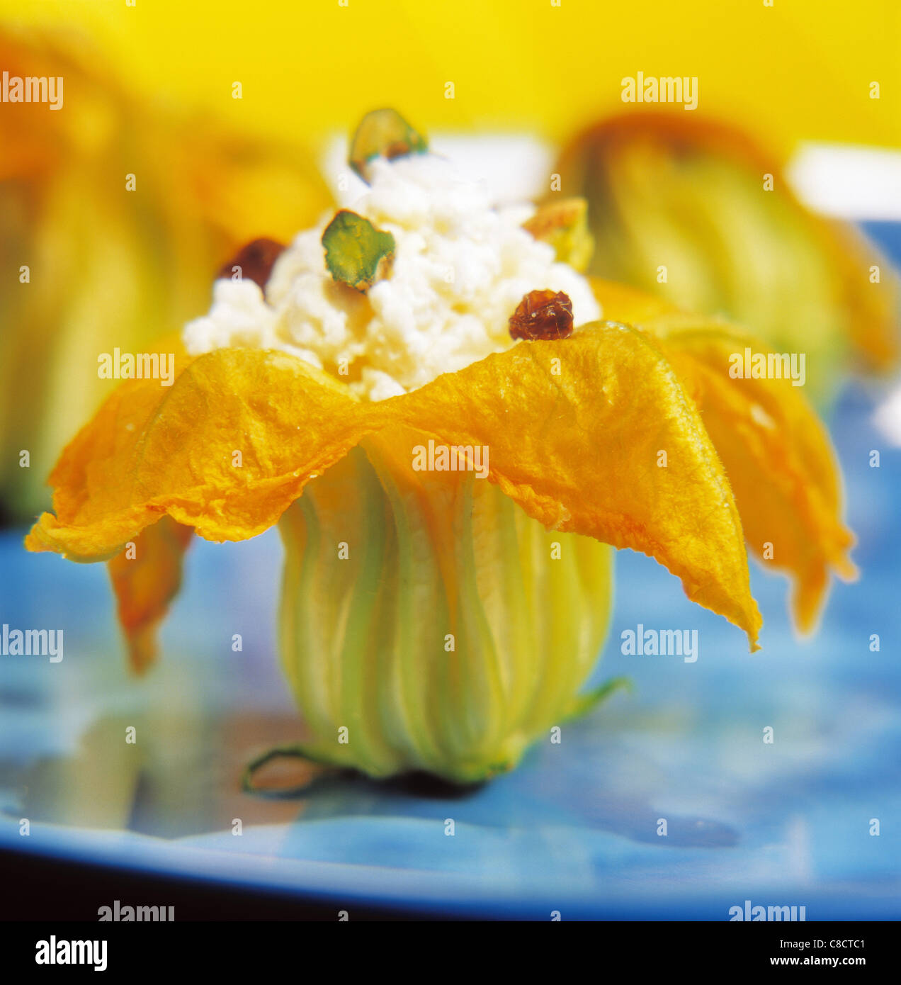 Courgette Shaped High Resolution Stock Photography and Images - Alamy