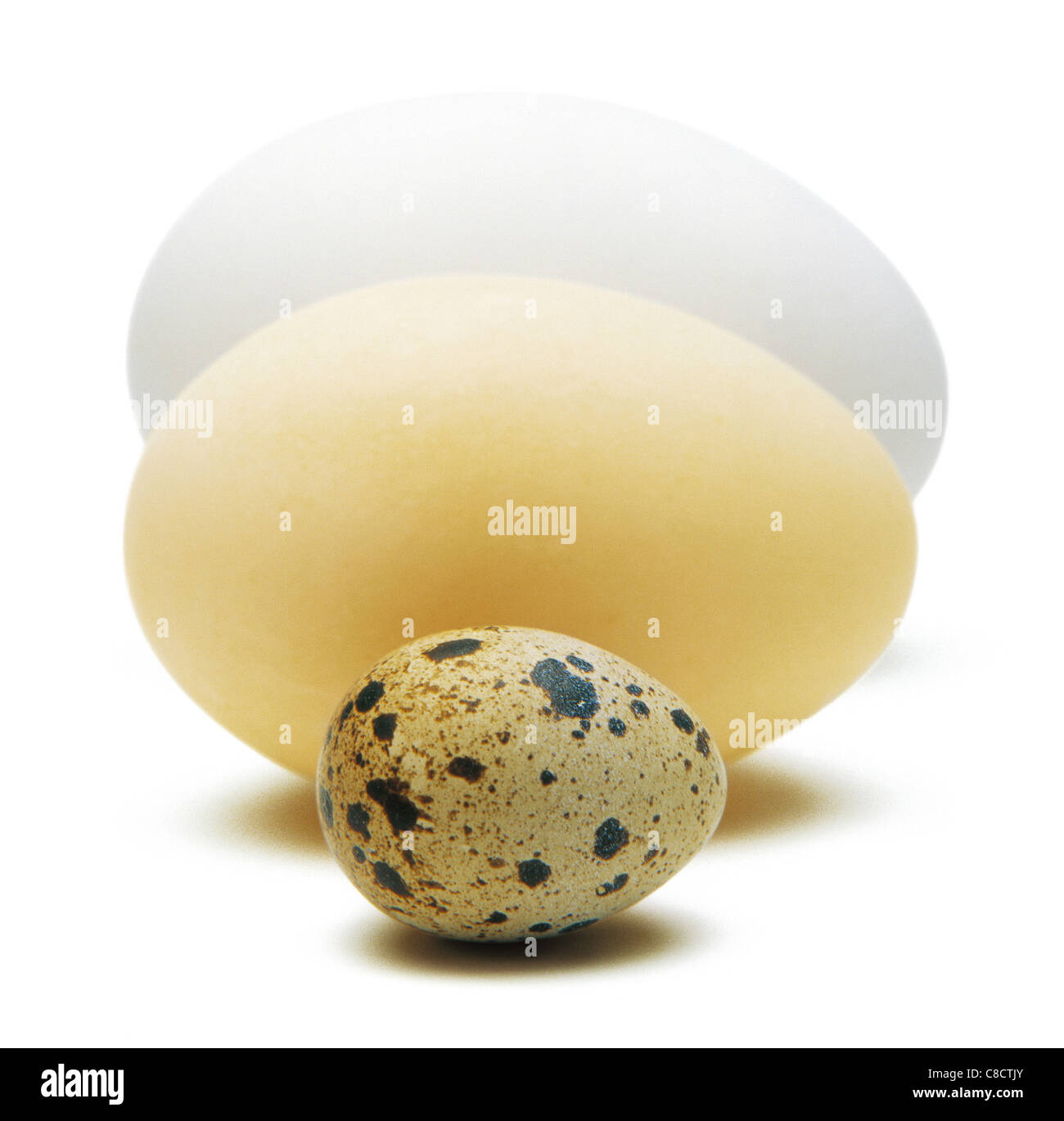 Quail egg, duck egg and goose egg Stock Photo - Alamy