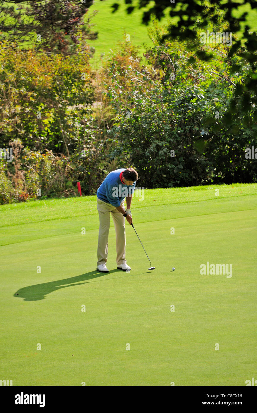 A golfer putting on the green Stock Photo - Alamy