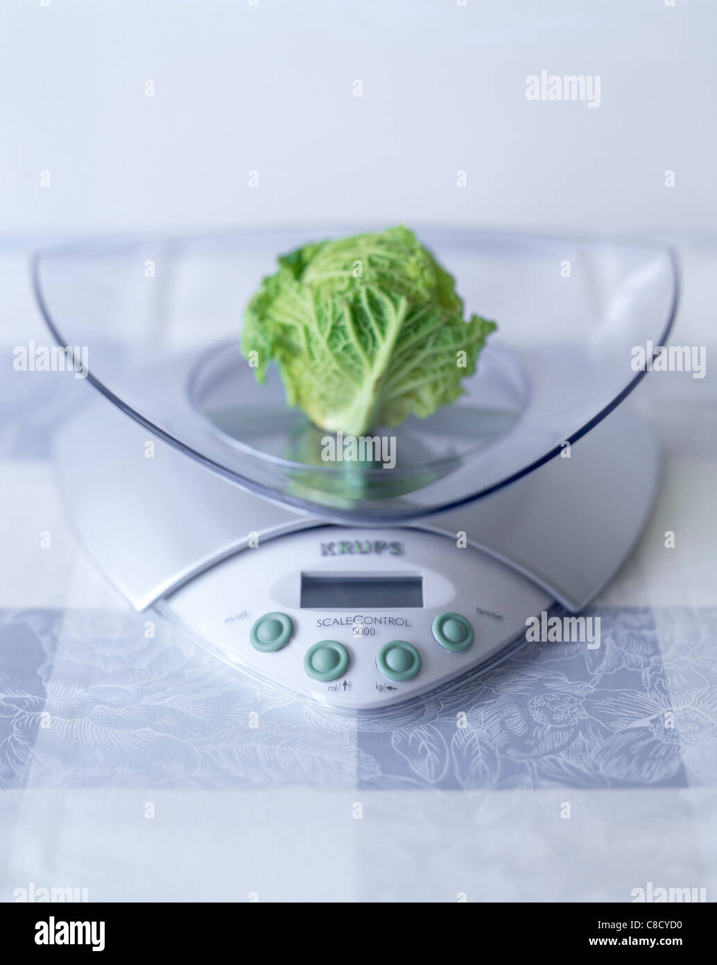 dwarf cabbage on scales Stock Photo - Alamy