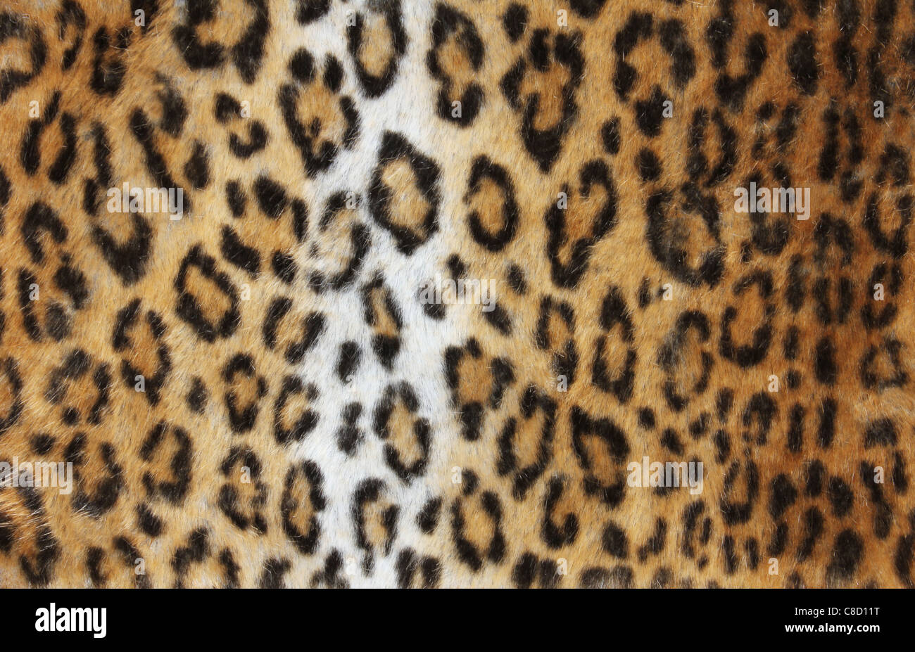 Animal skin background pattern Stock Photo - Alamy