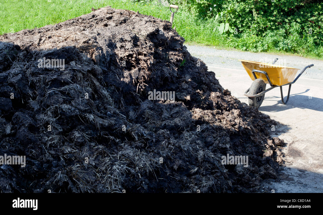 Fresh cow dung hi-res stock photography and images - Alamy