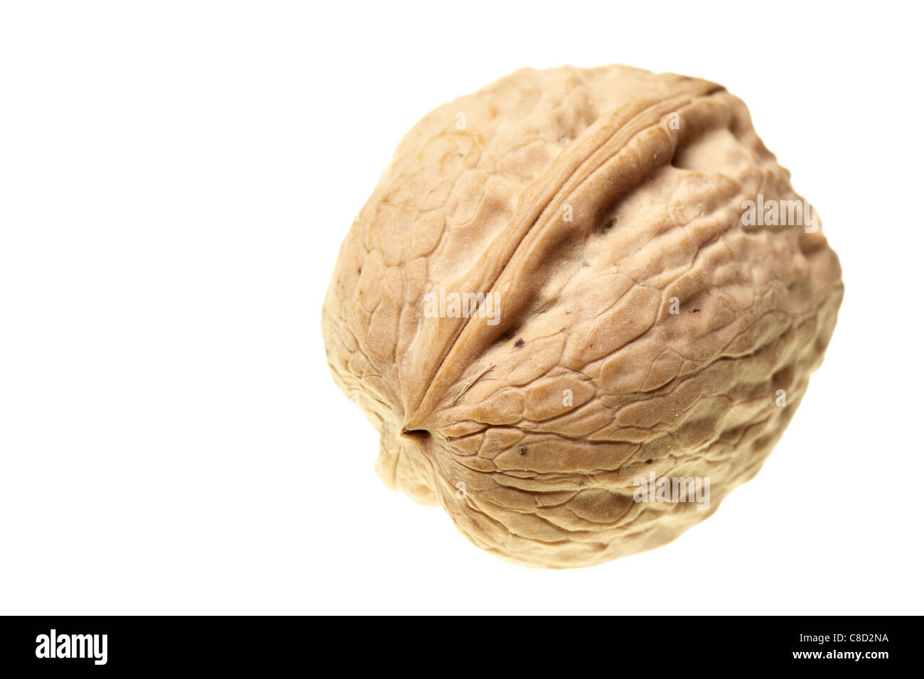 Walnut close-up isolated over the white background Stock Photo - Alamy