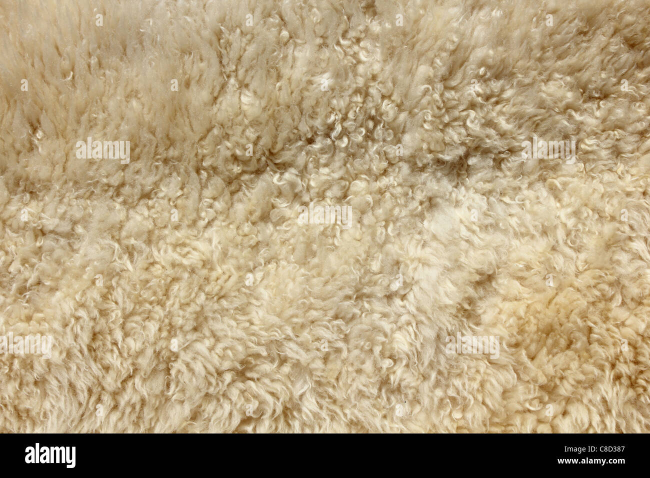 Close up of cream animal fur Stock Photo - Alamy