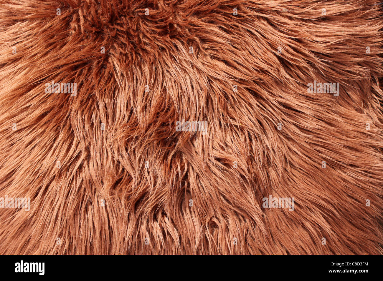 Animal fur - long haired Stock Photo - Alamy