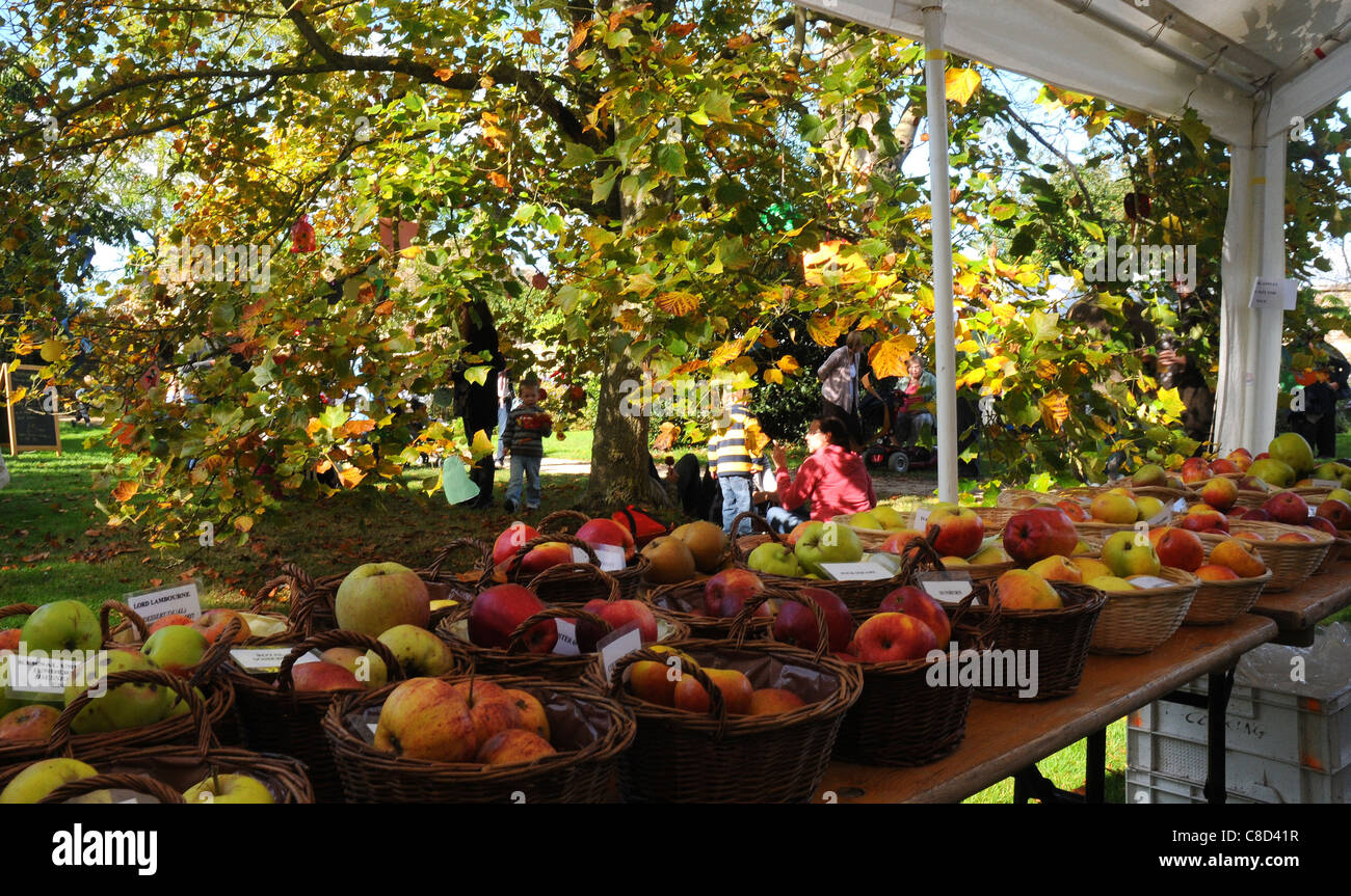 THE AUTUMN APPLE FAIR AT THE PICURESQUE VILLAGE OF LACOCK, WILTSHIRE ...