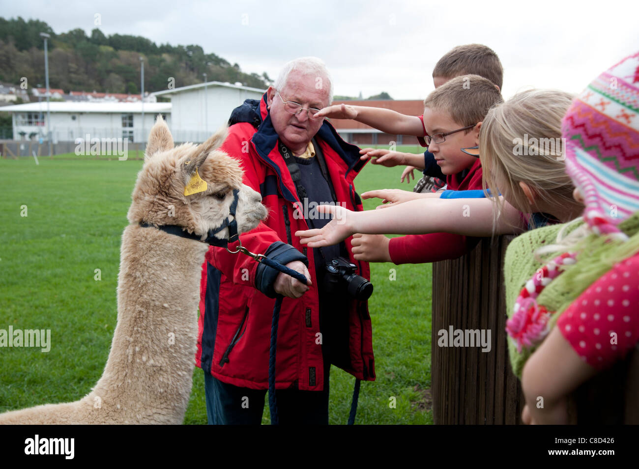 Children and alpacas hi-res stock photography and images - Alamy