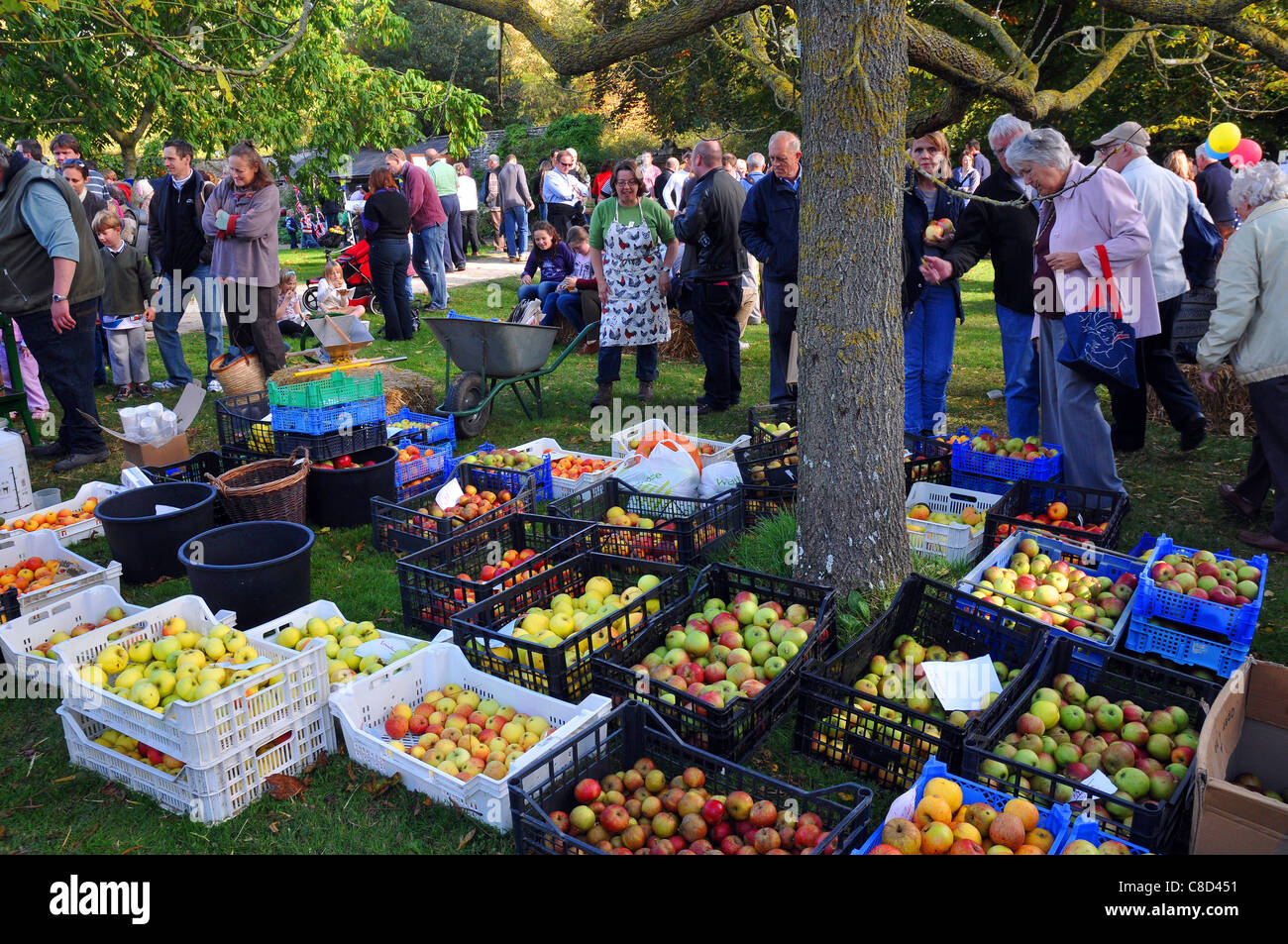 THE AUTUMN APPLE FAIR AT THE PICURESQUE VILLAGE OF LACOCK, WILTSHIRE ...