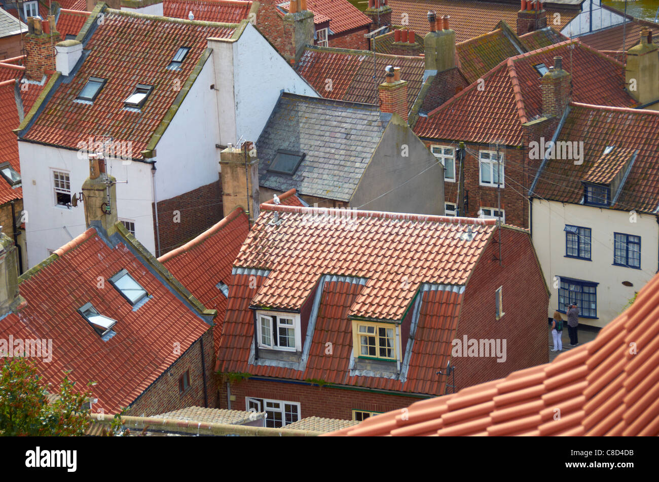 Roof tops in Whitby, North Yorkshire Stock Photo - Alamy