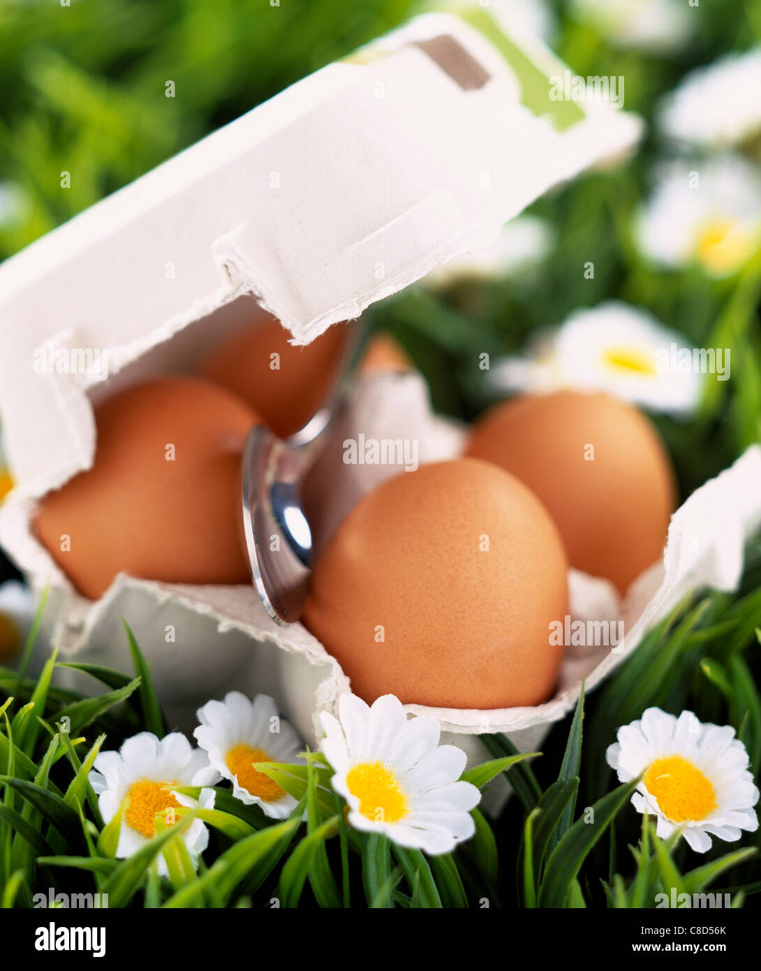 Box of eggs in grass Stock Photo - Alamy