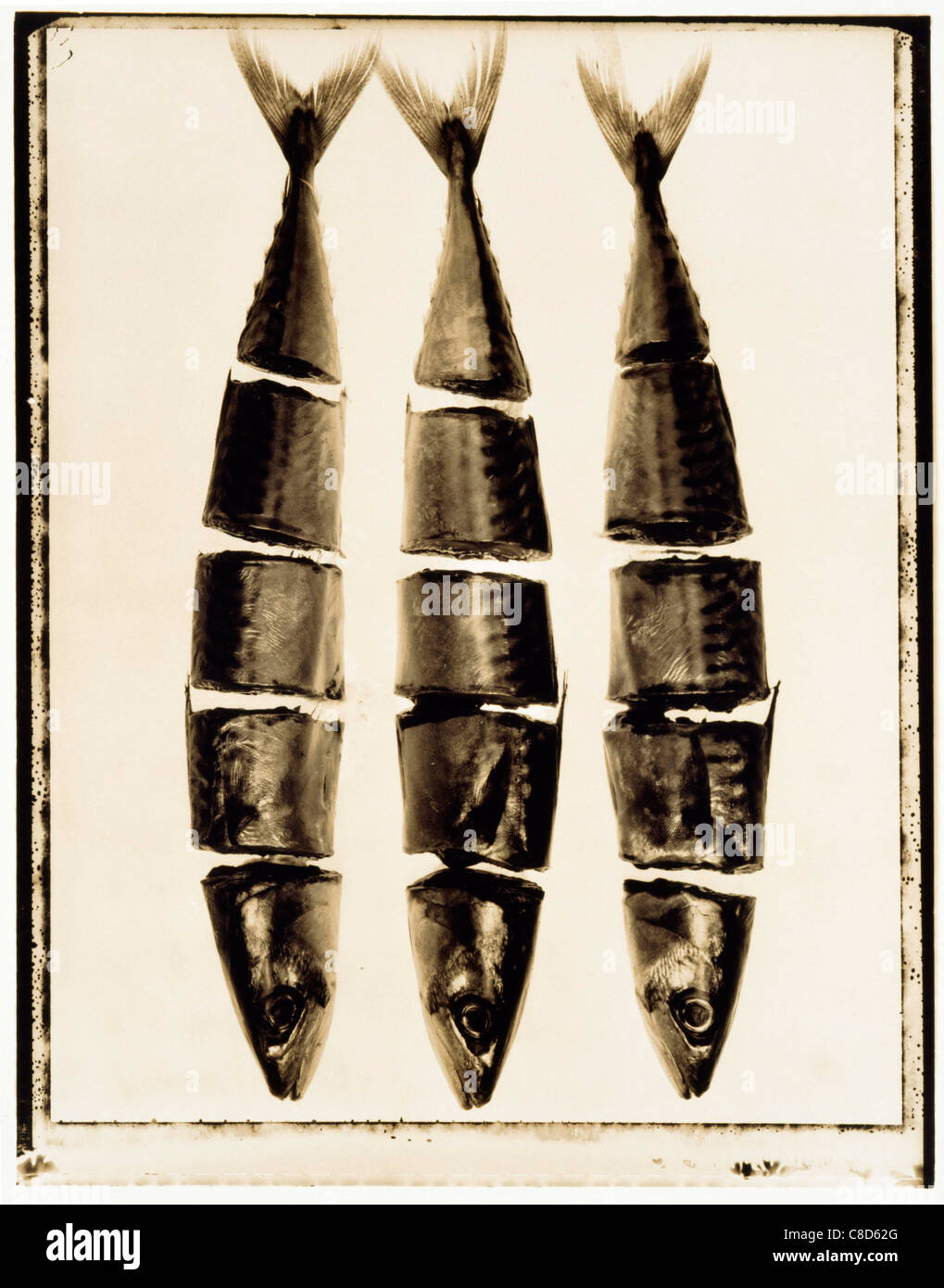 Sectioned hi-res stock photography and images - Alamy