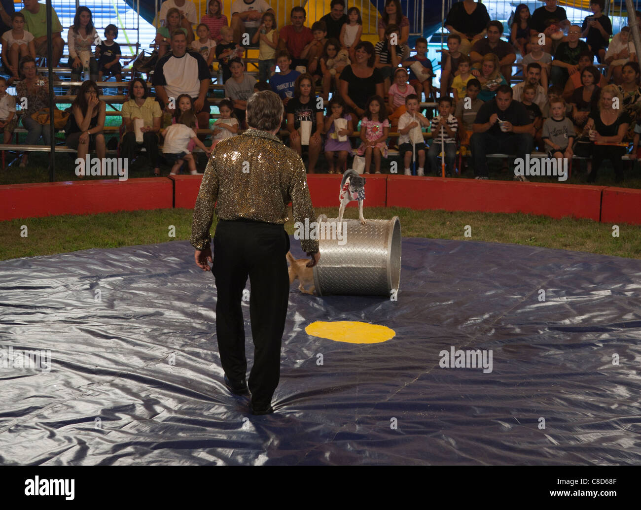 Dogs doing tricks at a circus Stock Photo - Alamy