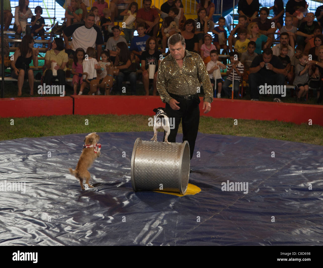 Dogs doing tricks at a circus Stock Photo - Alamy