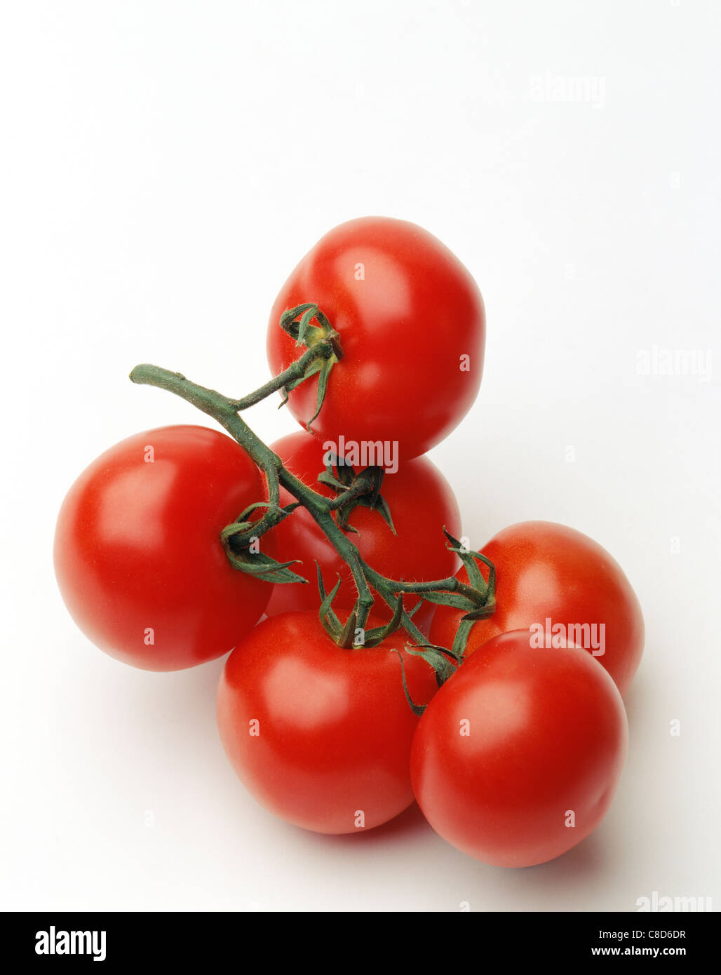 Stem with cherry tomatoes hi-res stock photography and images - Alamy