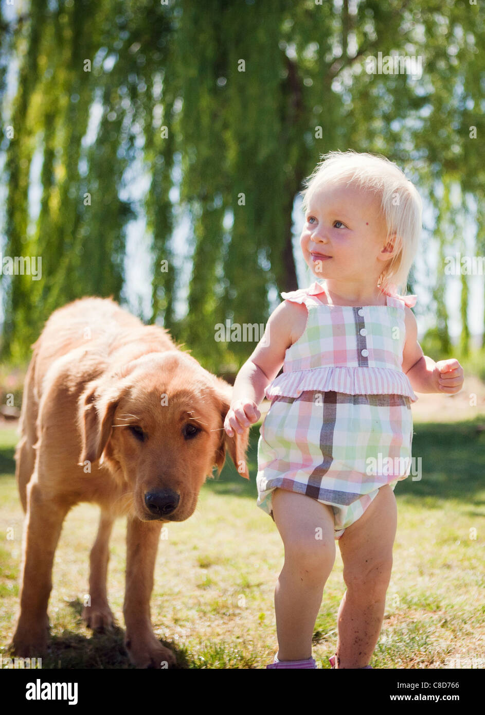 Toddler Girl With Golden Retriever Outside Stock Photo Alamy