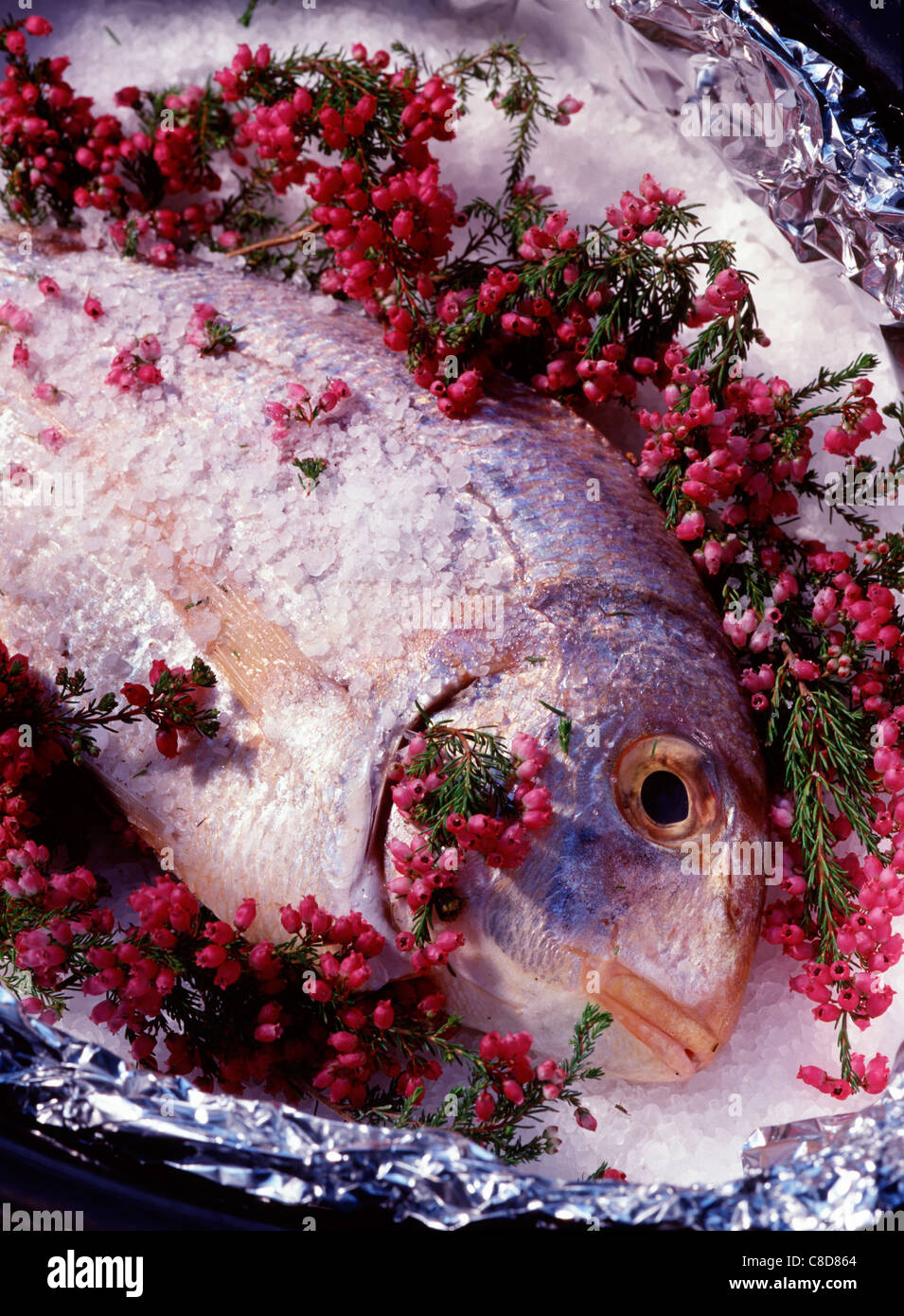 Heather main hi-res stock photography and images - Alamy