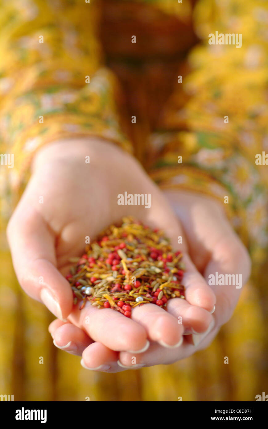 Indian woman holding spices hi-res stock photography and images - Alamy