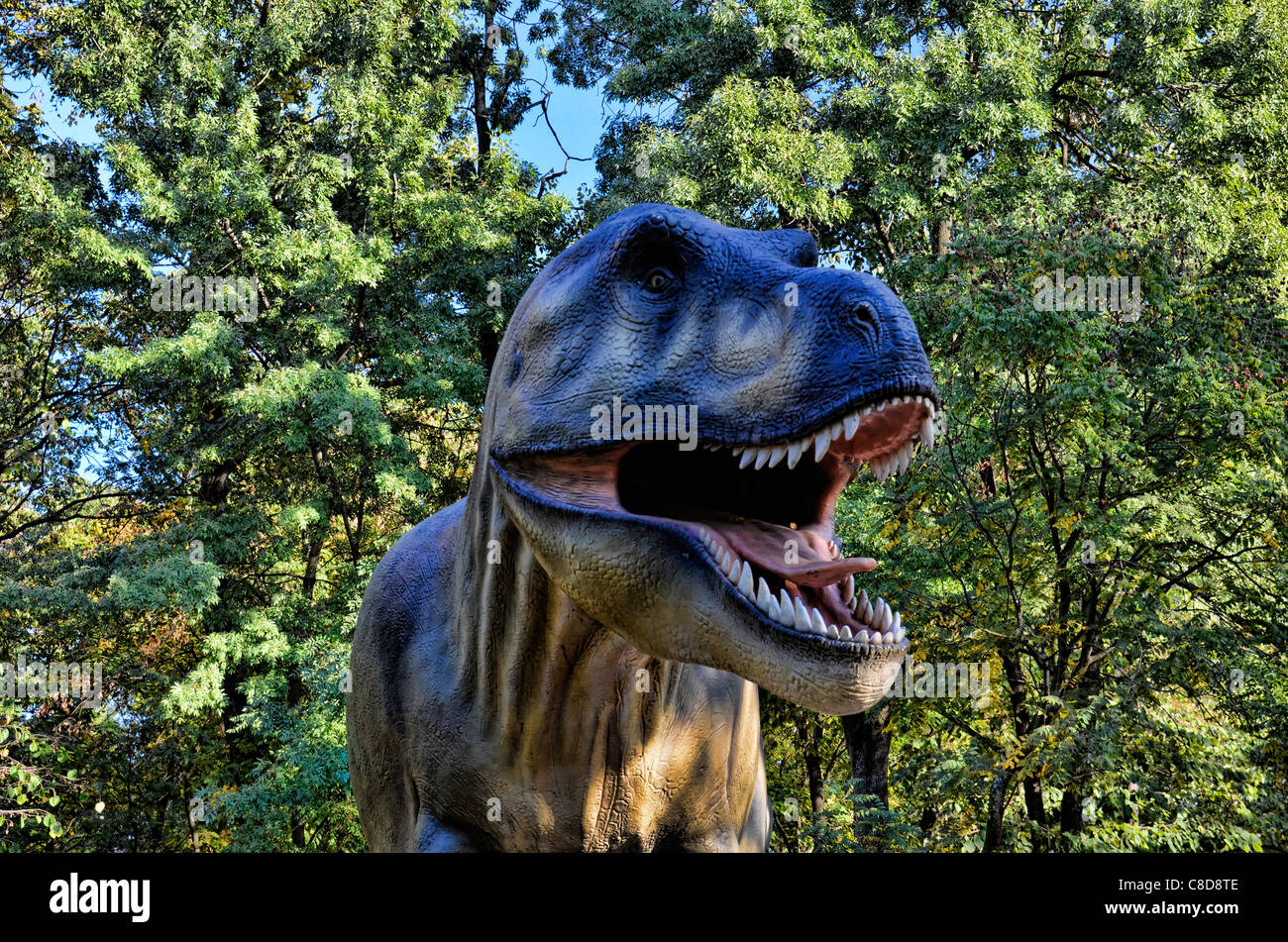 Dinosaur football hi-res stock photography and images - Alamy