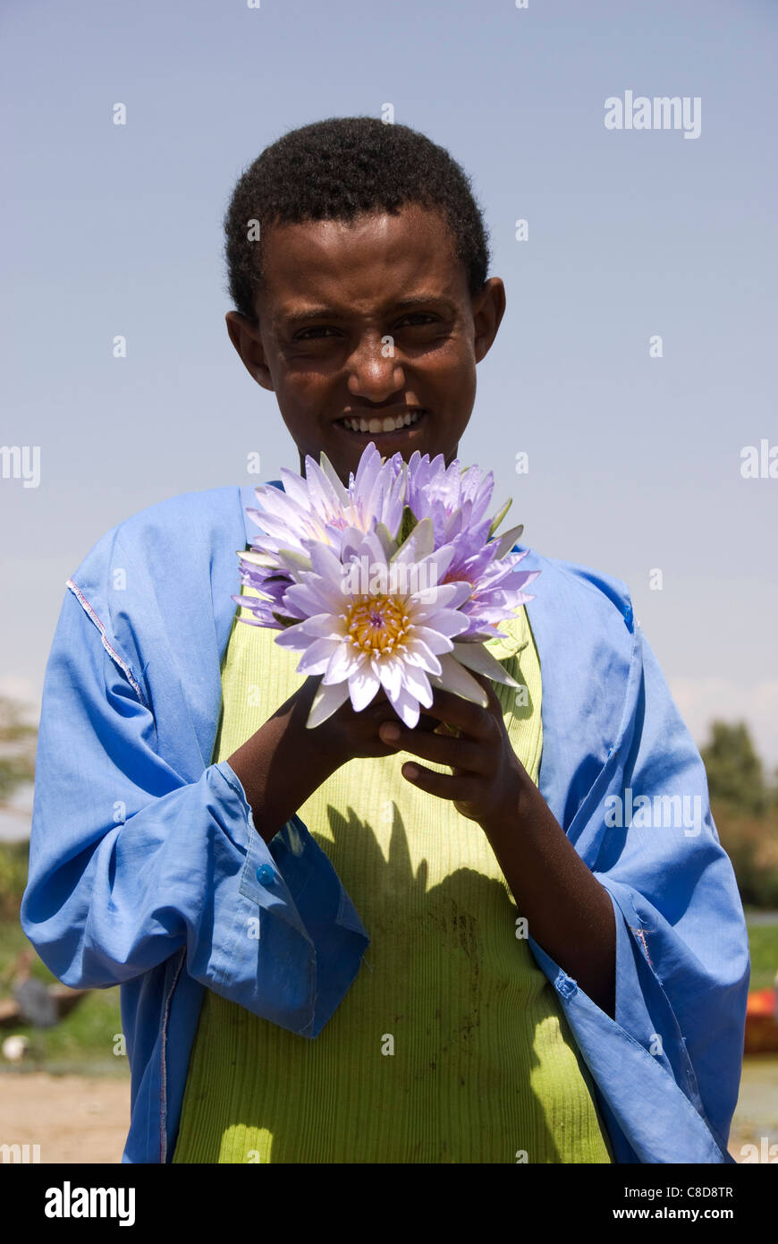 African water lilies hi-res stock photography and images - Alamy