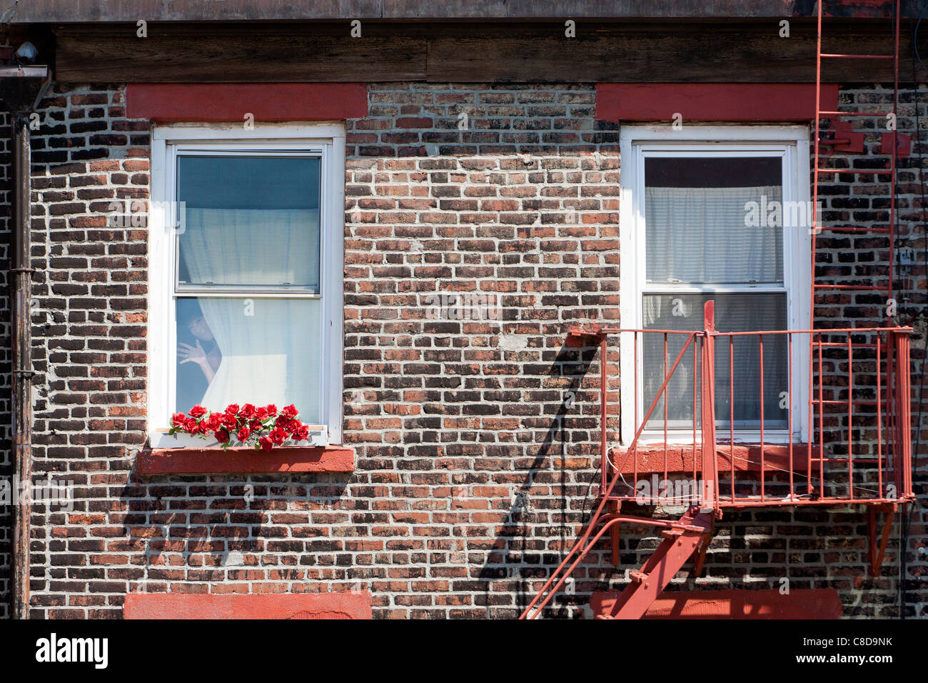 A view of windows in an Apartment Building Stock Photo - Alamy