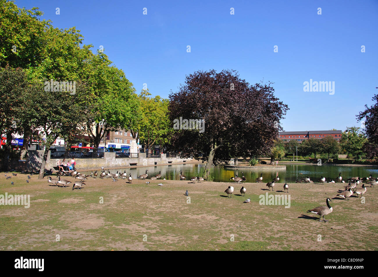Feltham pond hi-res stock photography and images - Alamy