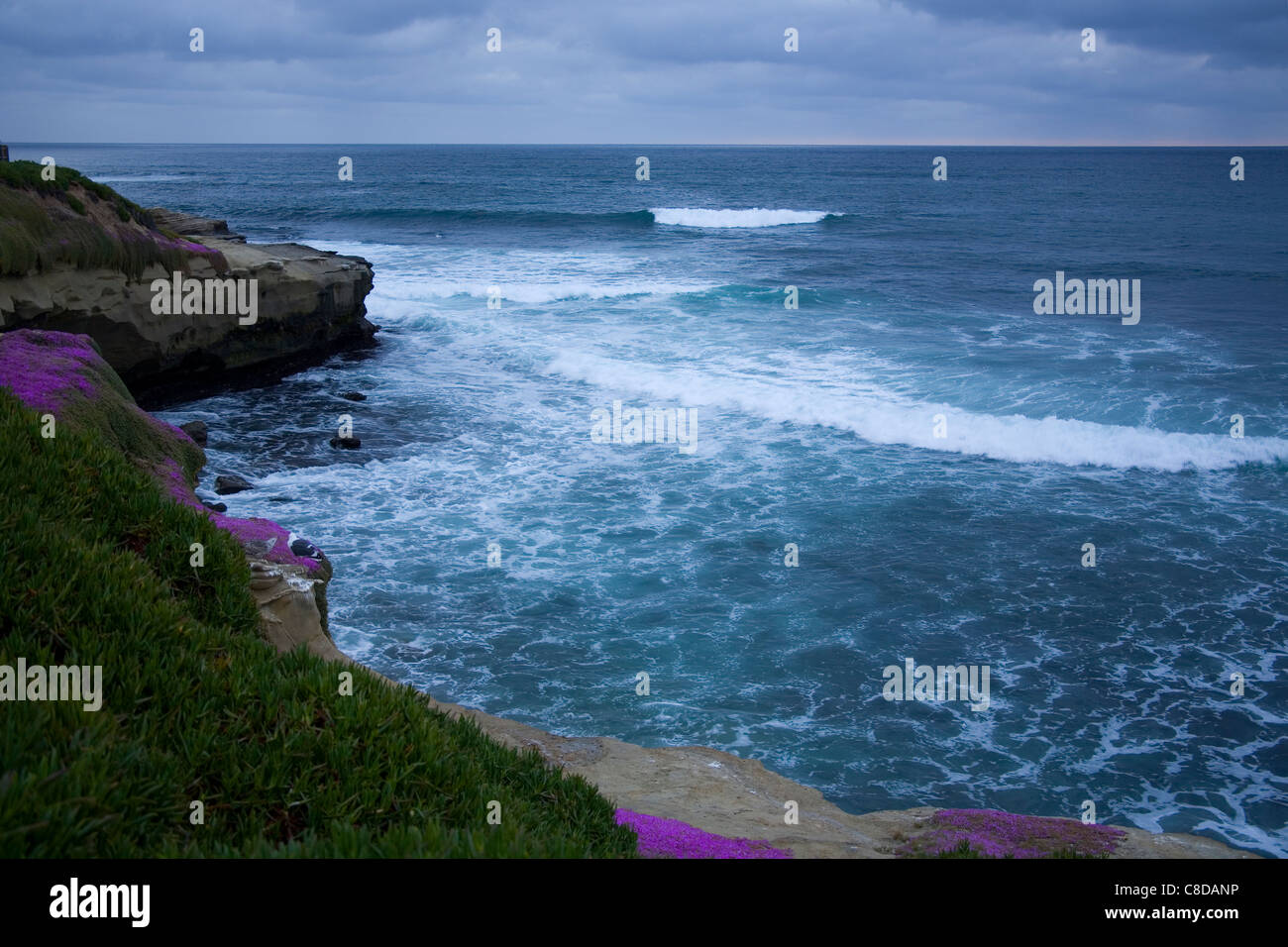 Icycle plants hi-res stock photography and images - Alamy