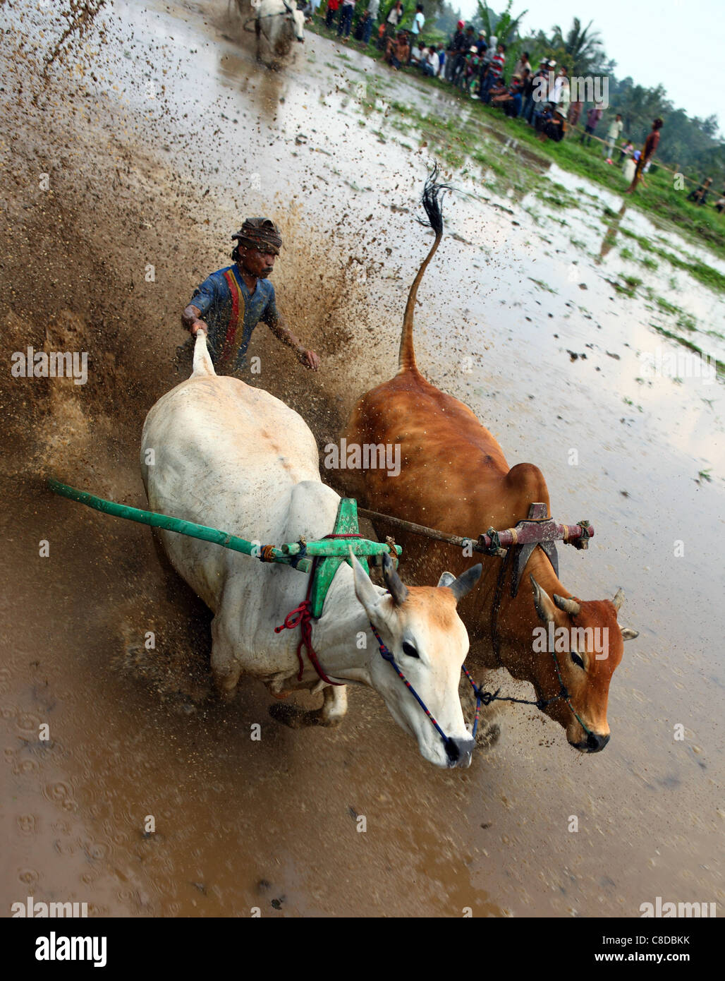 Rice soaking in water hi-res stock photography and images - Alamy
