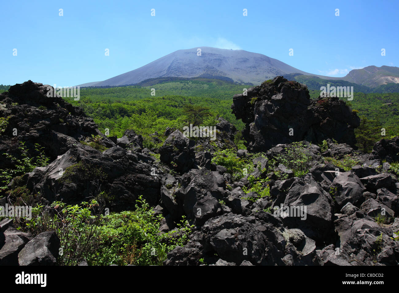 Lava plateau hi-res stock photography and images - Alamy