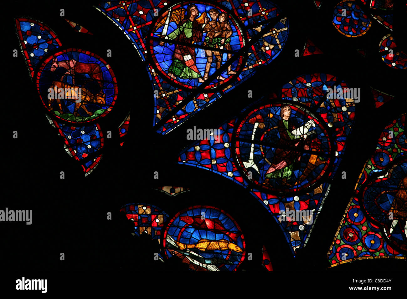 North rose window with the medieval stained-glass window representing ...