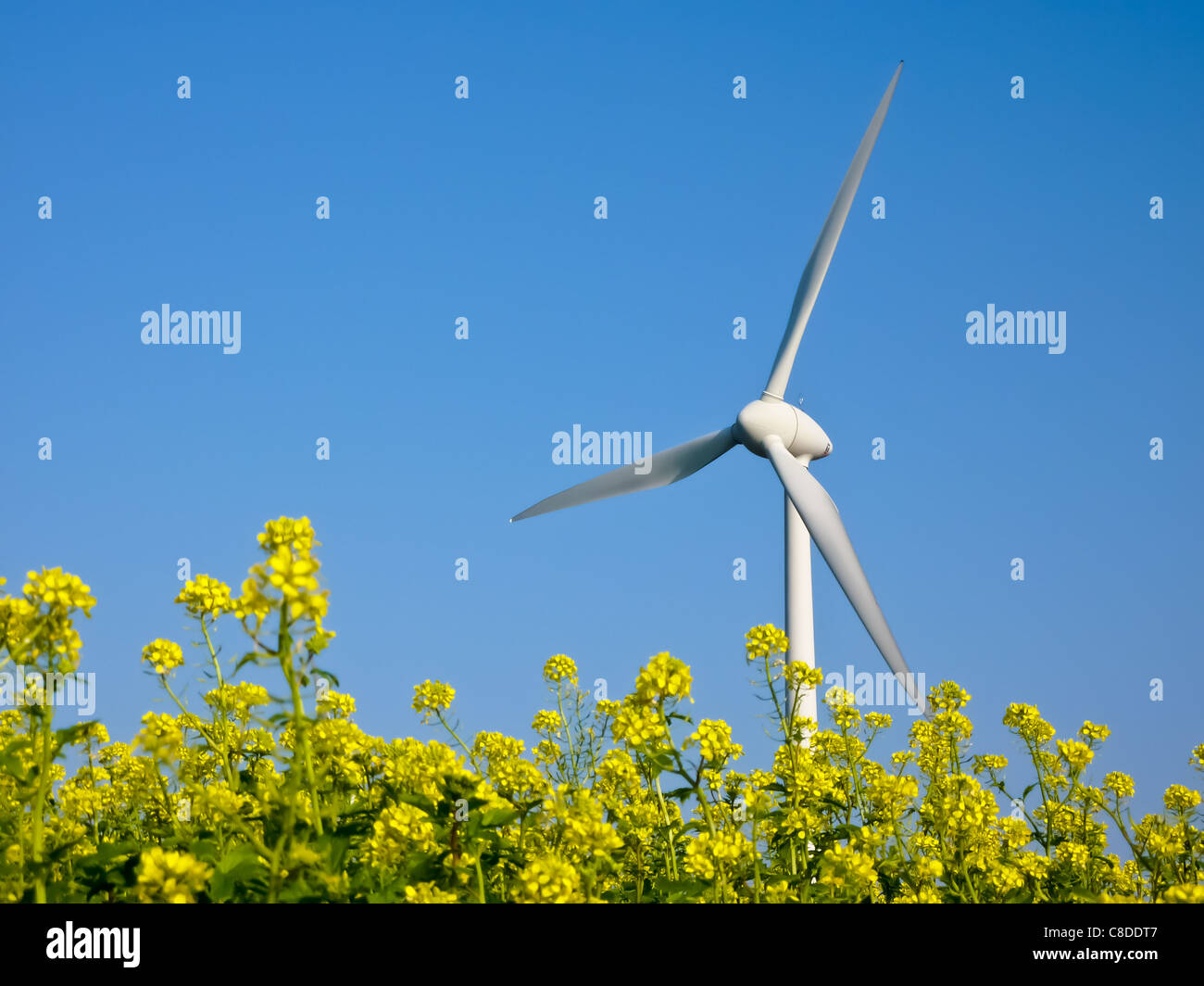 Bad windmill hi-res stock photography and images - Alamy