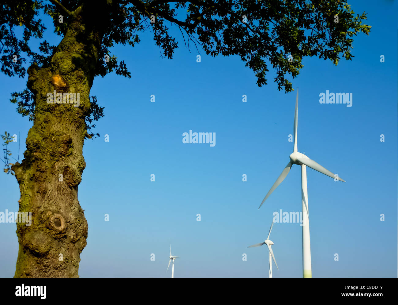 Bad windmill hi-res stock photography and images - Alamy