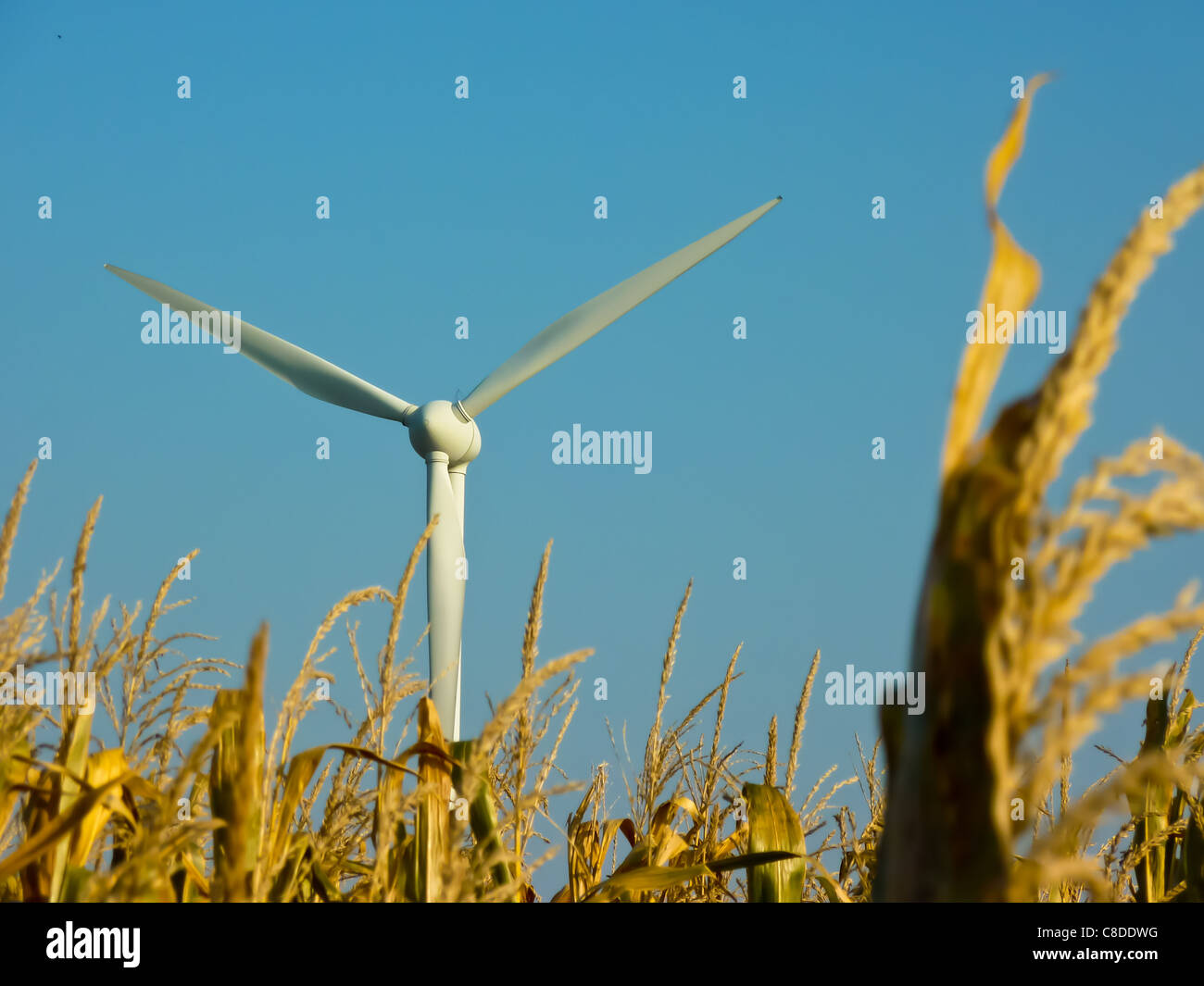 Bad windmill hi-res stock photography and images - Alamy