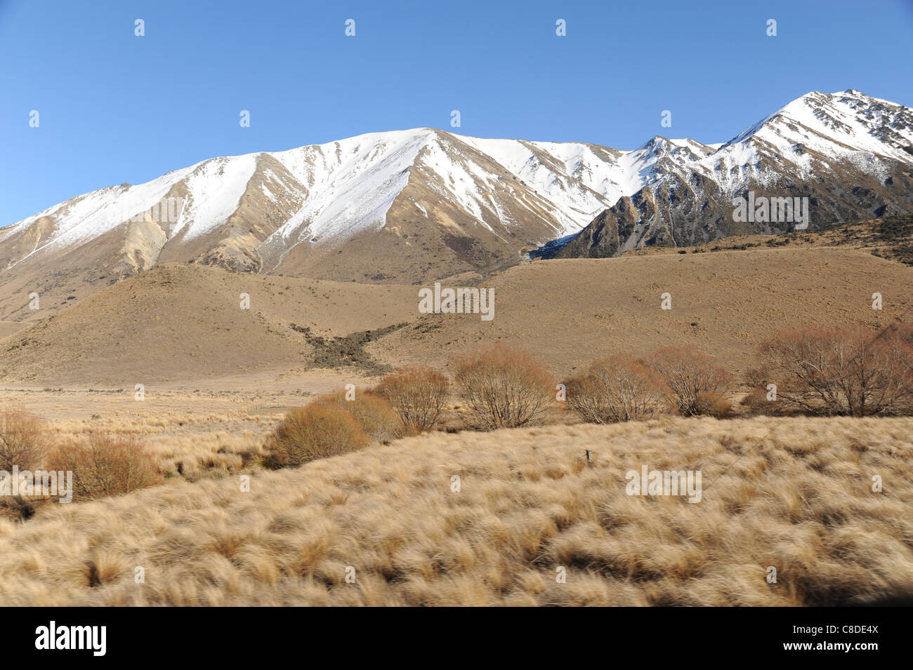 Tussocklands hi-res stock photography and images - Alamy