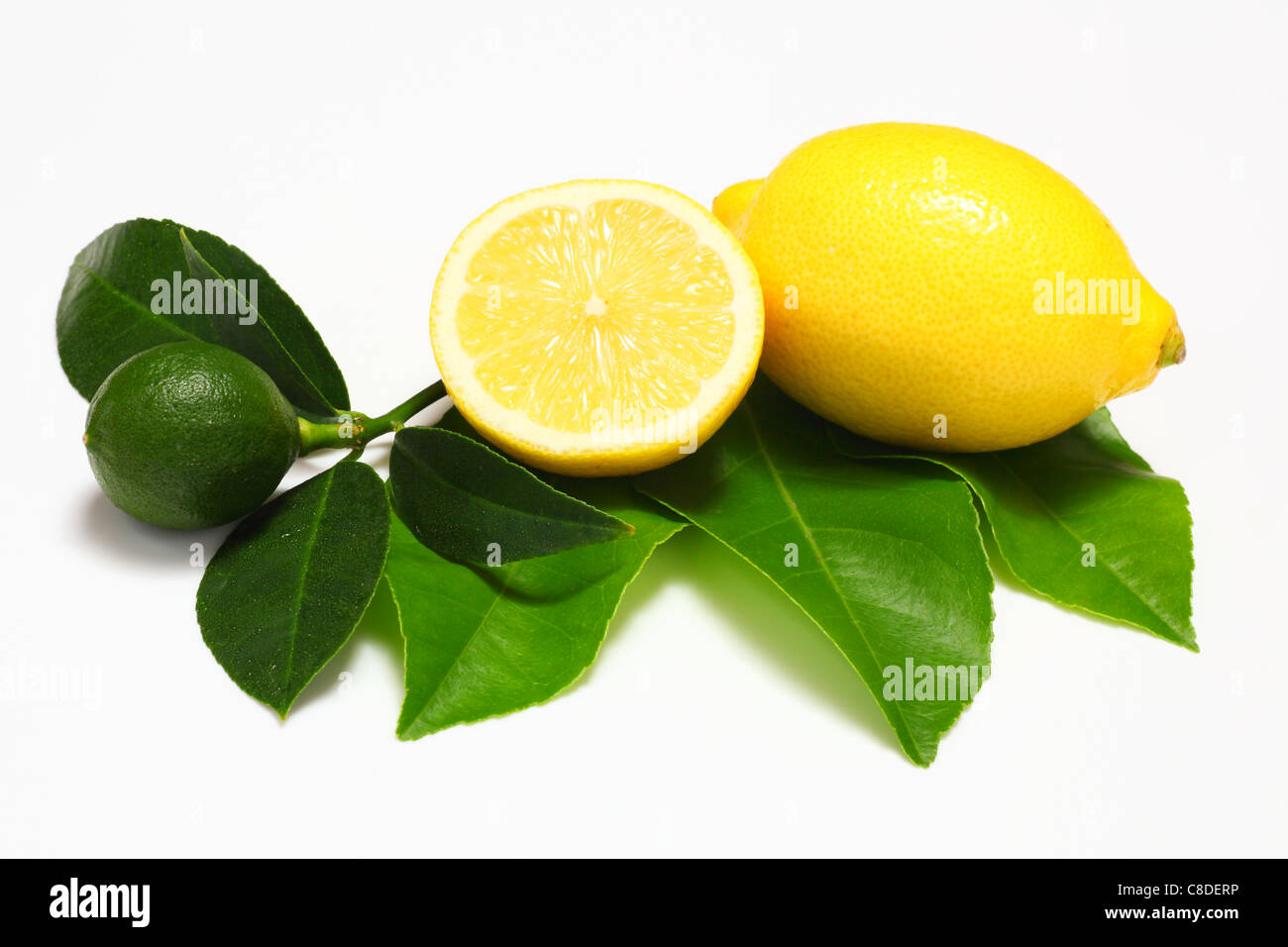 Lemon and leaf Stock Photo - Alamy